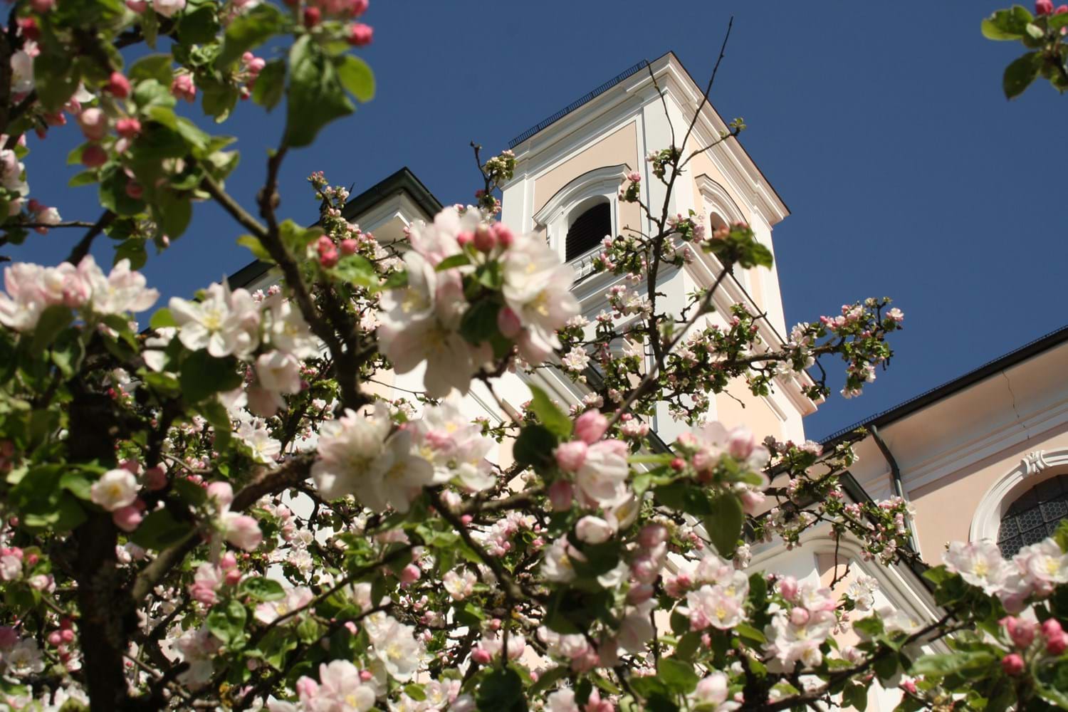 Kirche St. Michael Passau | Passau Tourismus